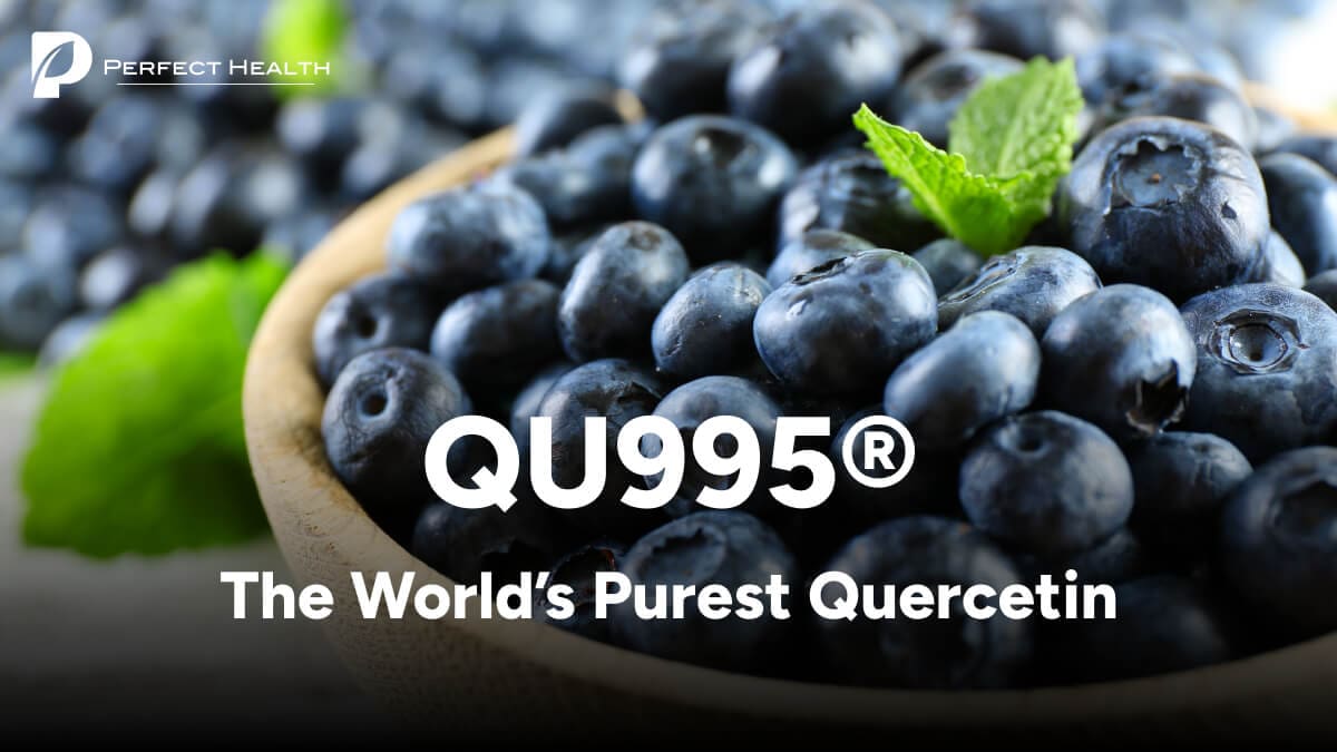 Quercetin - PerfectHealthUSA